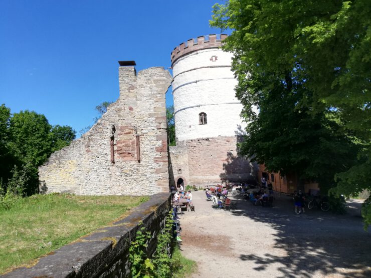 Mini adventure: Cycle through the forest and gather wild garlic