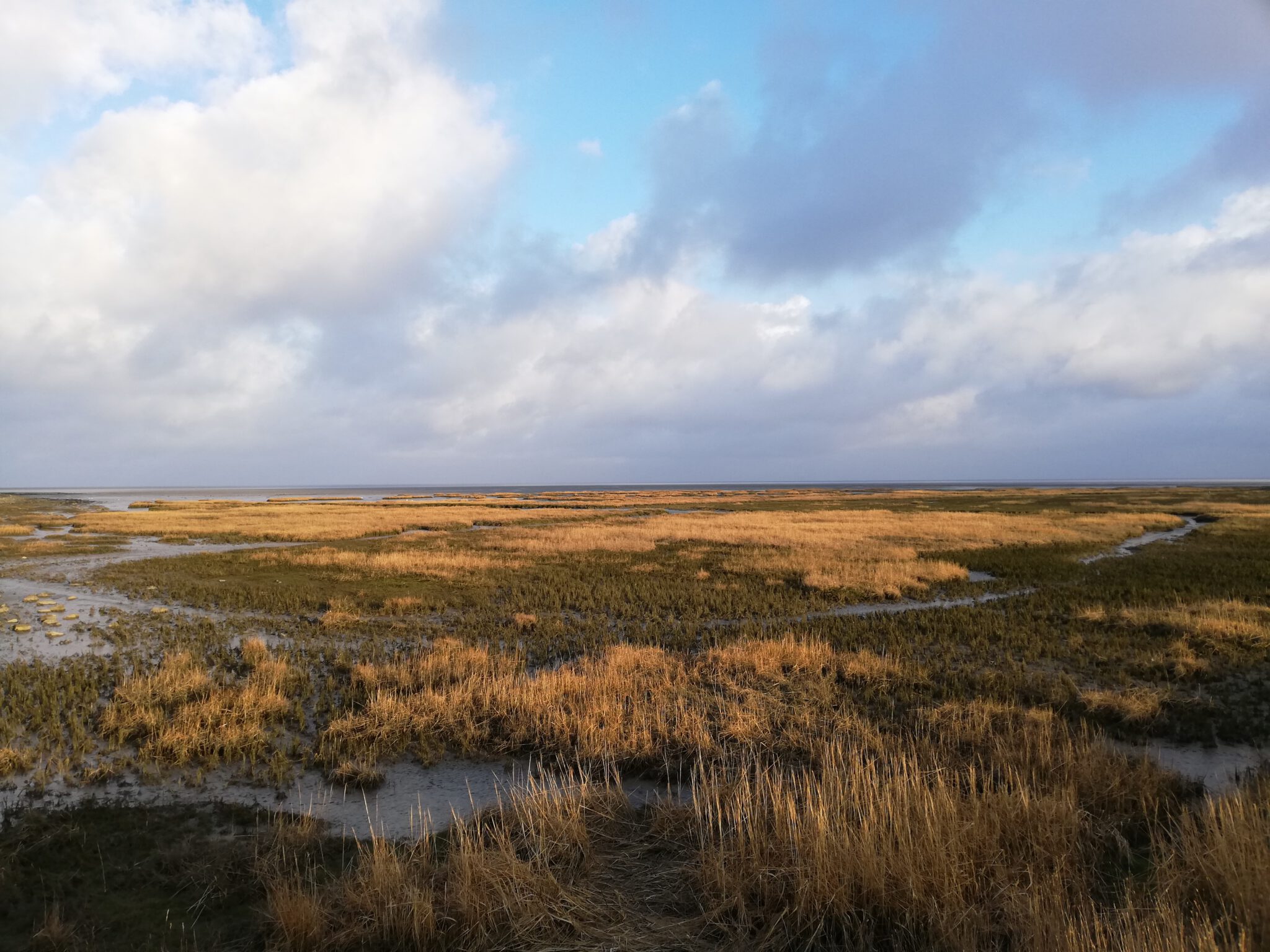 3 hikes on Terschelling you should not miss - Two Around The World